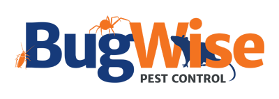 Project BugWise Pest Control - WSS Media